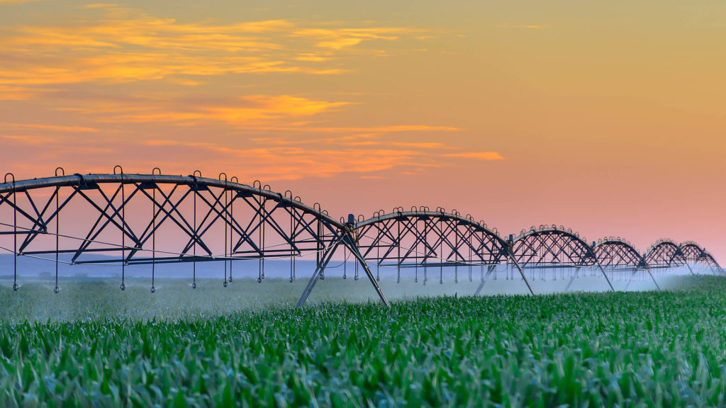 irrigation – Saro Agro Industrial Ltd